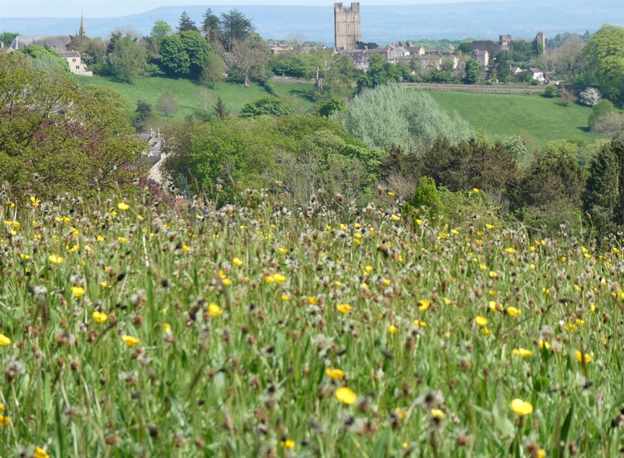 Welcome to Richmond, North Yorkshire